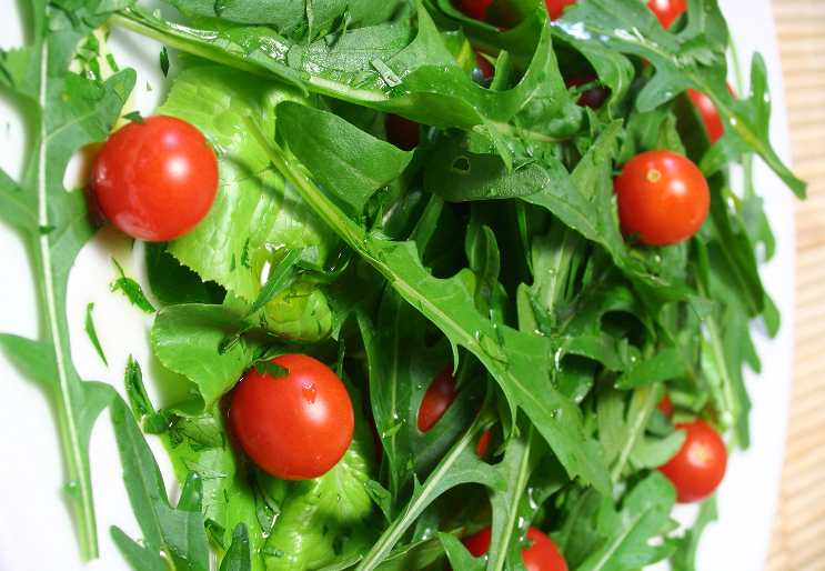 Salade La Roquette: Quand Récolter La Roquette – YINSBK